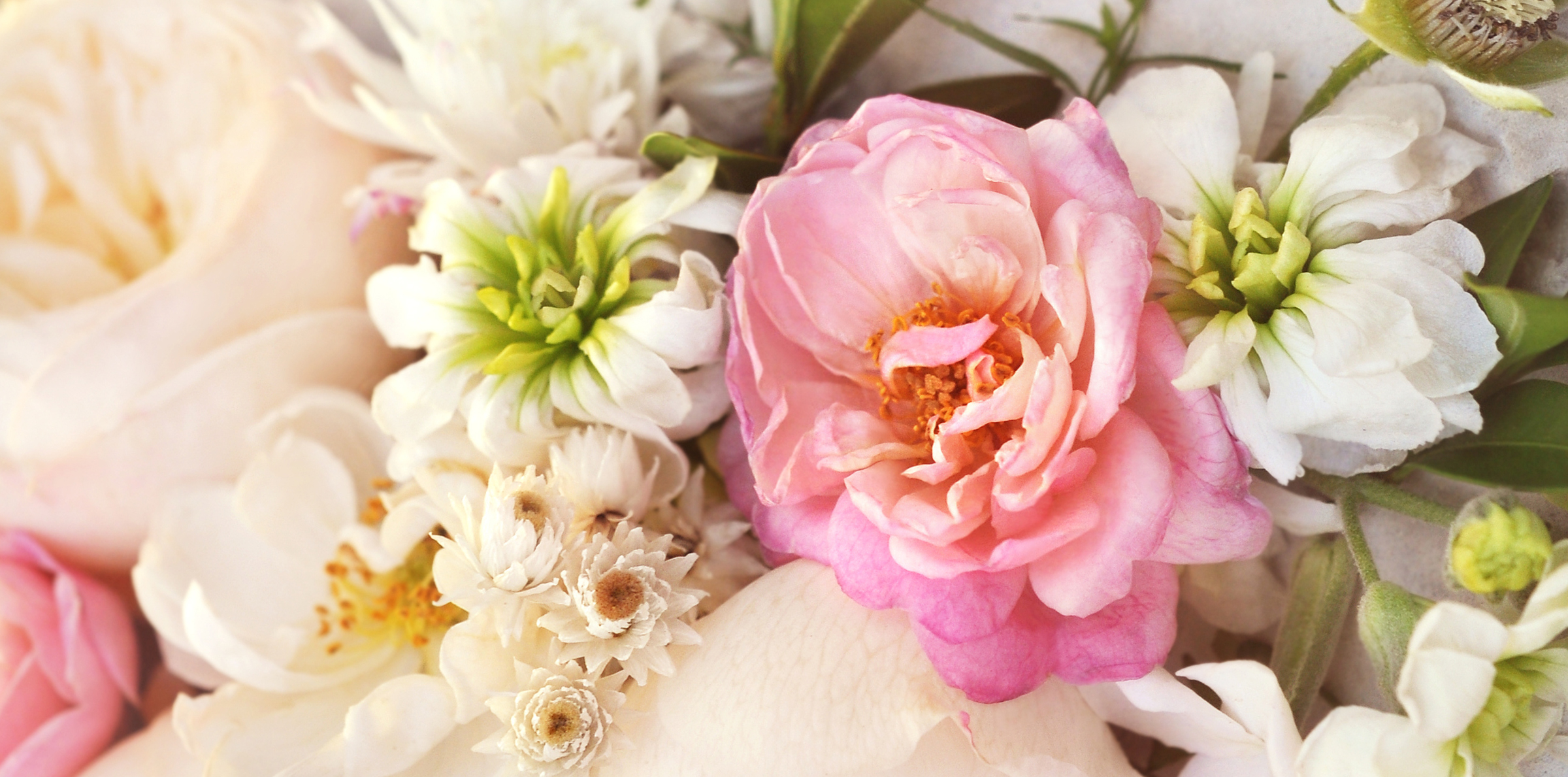 Female Funeral Directors in Perth | Remembrance Ladies